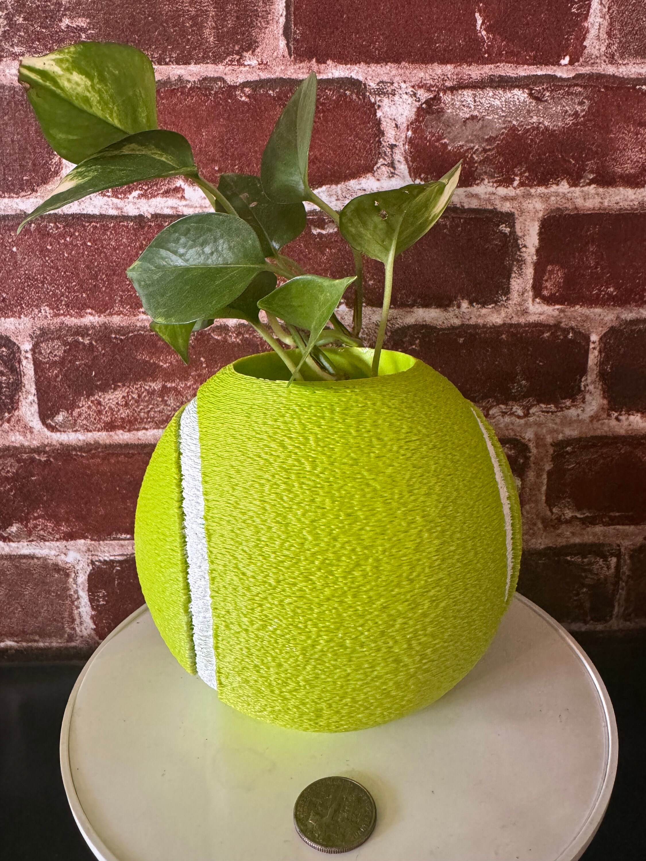 3D Printed Tennis Ball Planter - Etsy