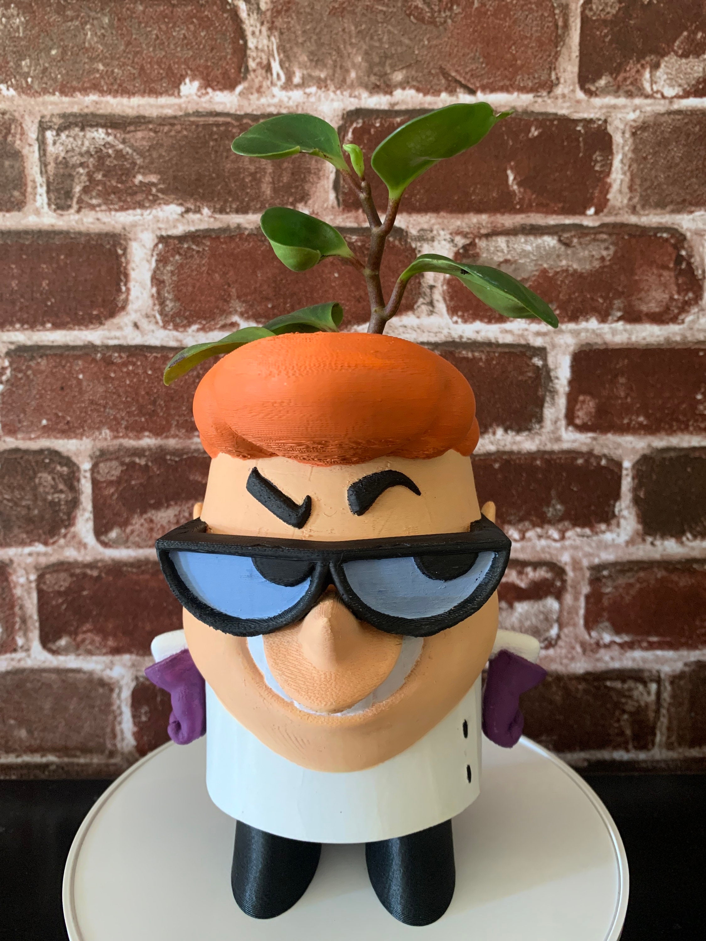 Dexters Lab Large Planter W/ Drainage - Etsy