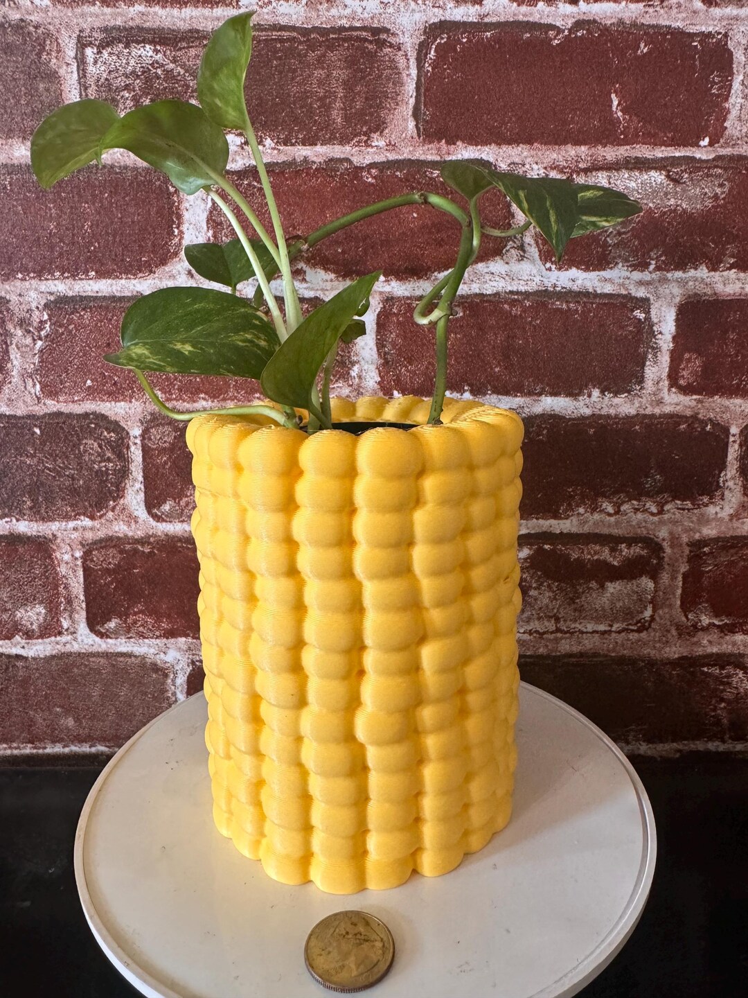 Corn Cob Planter W Inner Pot - Etsy