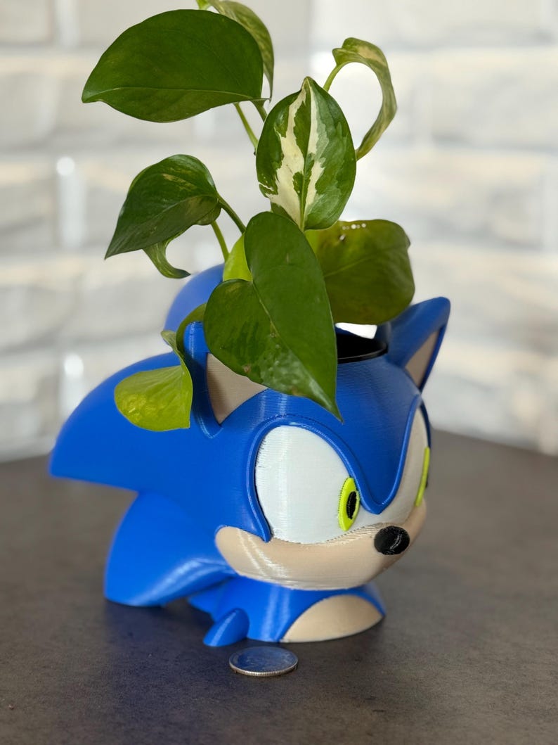 Sonic Hedgehog Pot Gift - Etsy
