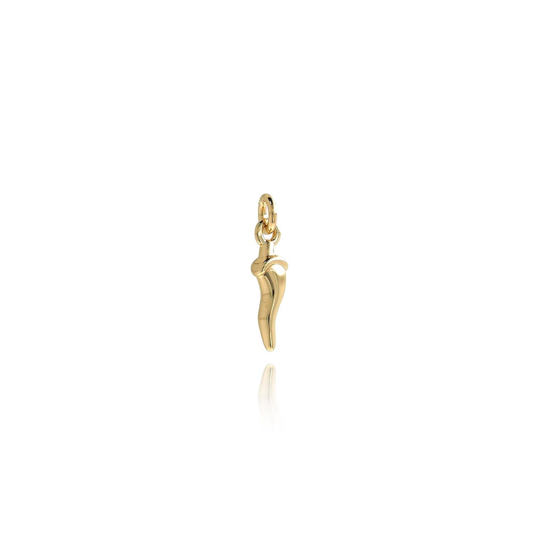 18K Gold Filled Plant Charm,dainty Chilli Necklace, Chilli Pendant ...