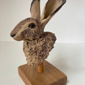 Ceramic Hare Head. Original Stoneware Sculpture. Mounted - Etsy UK
