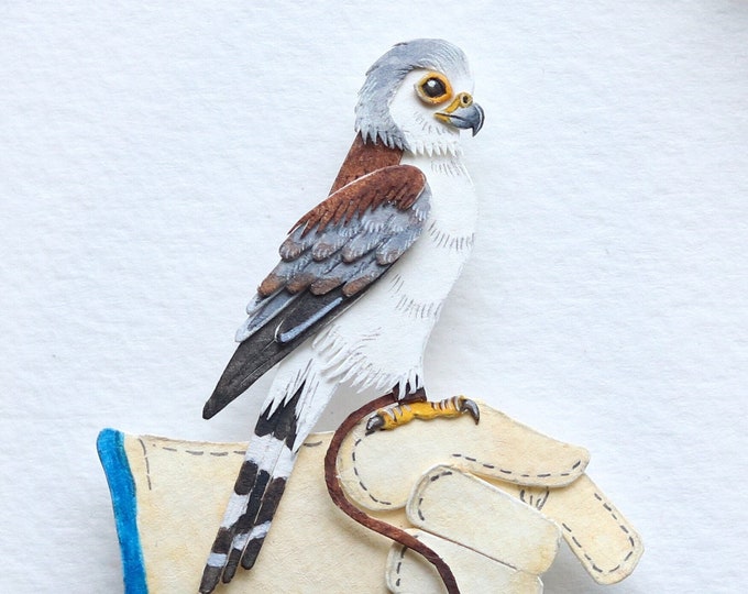 Pygmy Falcon - Falcon - Falcon Art - Birds - Bird Art - Paper Cut Bird ...