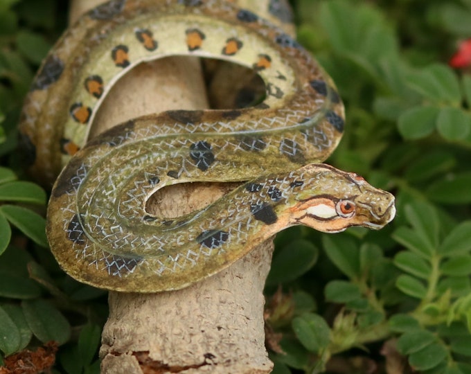 Anaconda Snake Amazon Rainforest gree Anaconda Art Papercut Paper Art ...