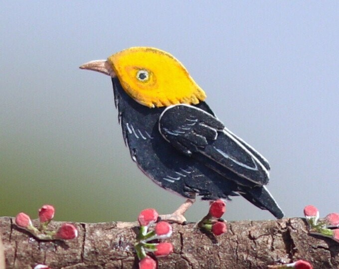 Manakin Golden Headed Manakin Bird Art Papercut Paper - Etsy