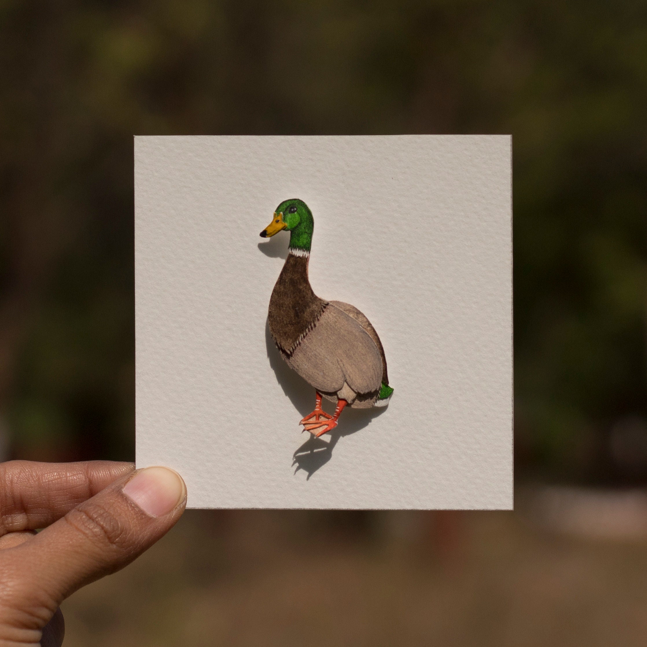 Papercut Bird Mallard Duck Duck Art Duck Bird Art - Etsy Hong Kong