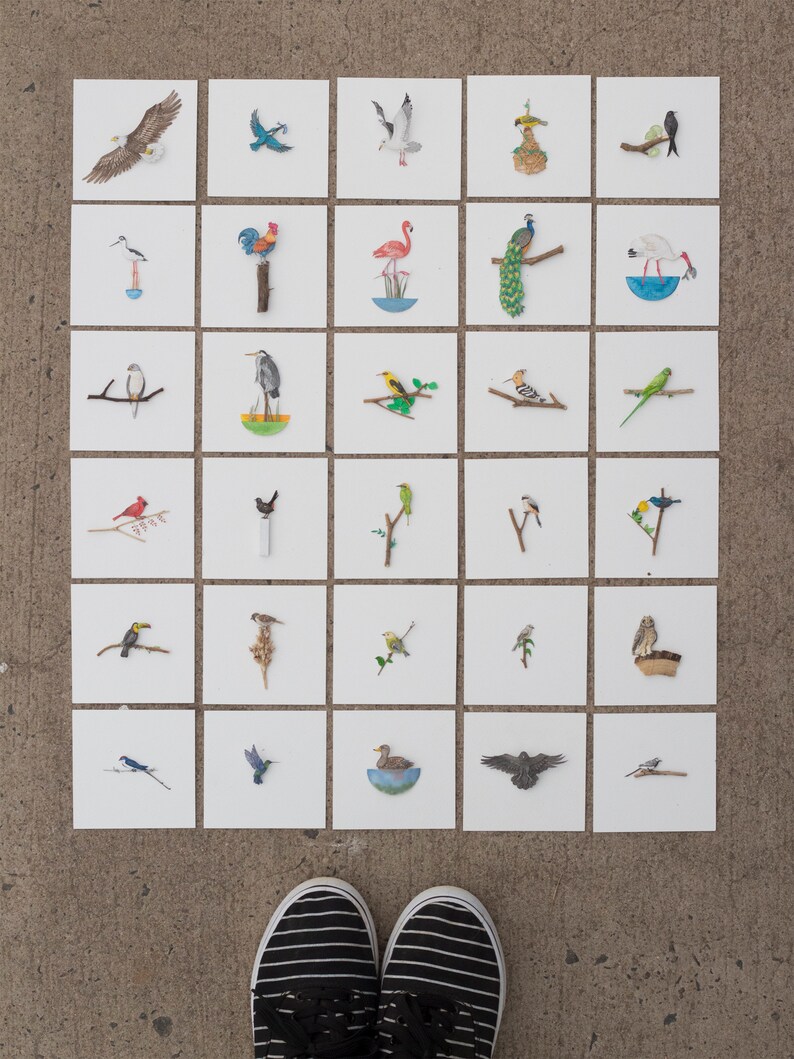 Sand Martin Martin Bird Nest Nest Birds Bird Art | Etsy