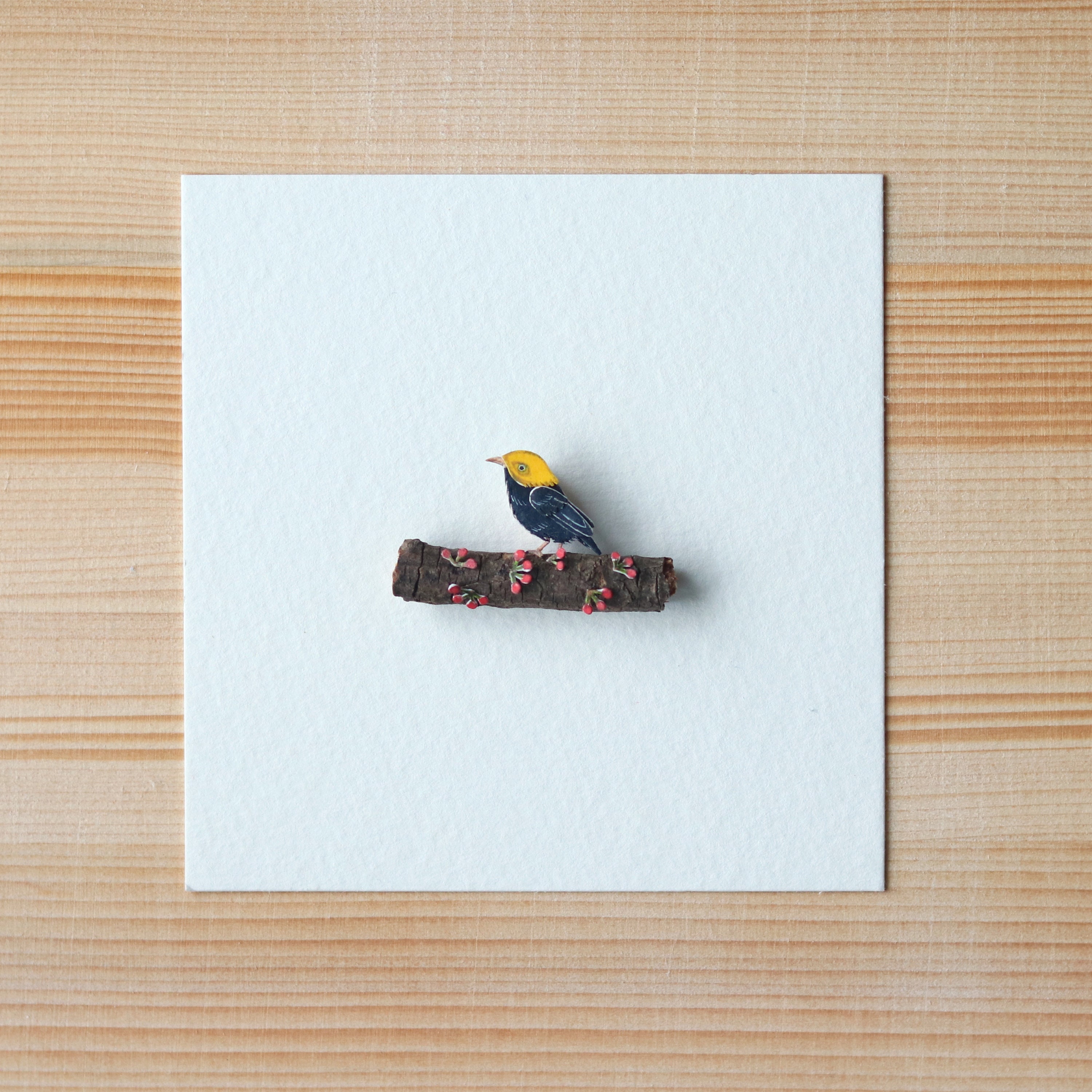 Manakin Golden headed manakin Bird art Papercut Paper | Etsy