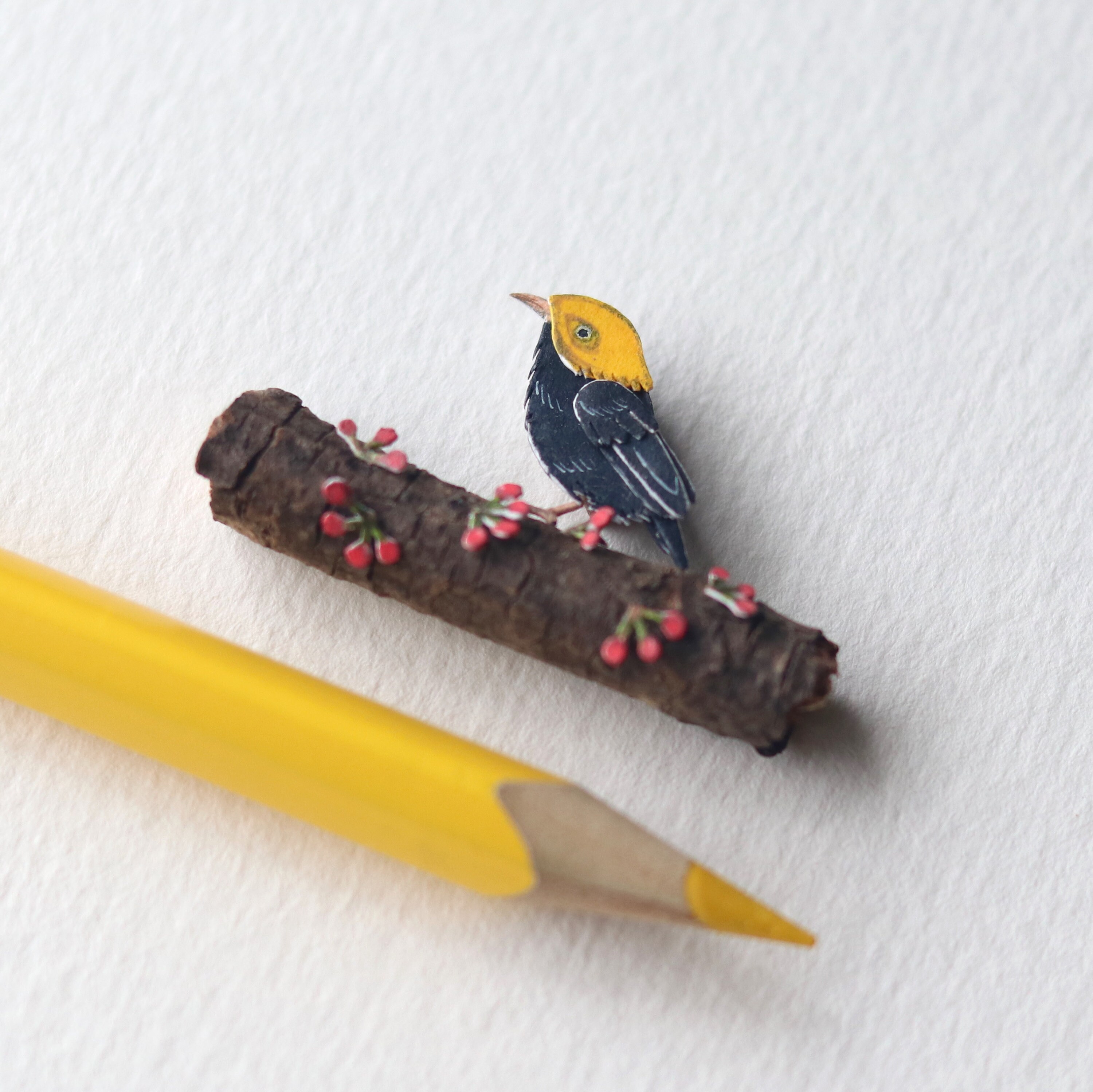 Manakin Golden headed manakin Bird art Papercut Paper | Etsy