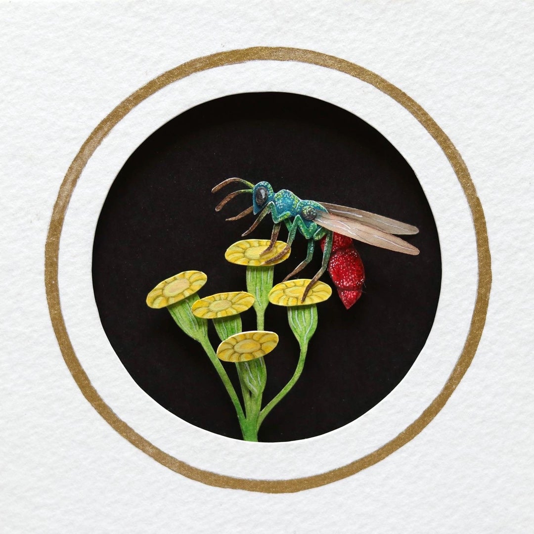 Wasp, Red Tailed Wasp, Pollinator, Papercut, Paperart, Miniature ...