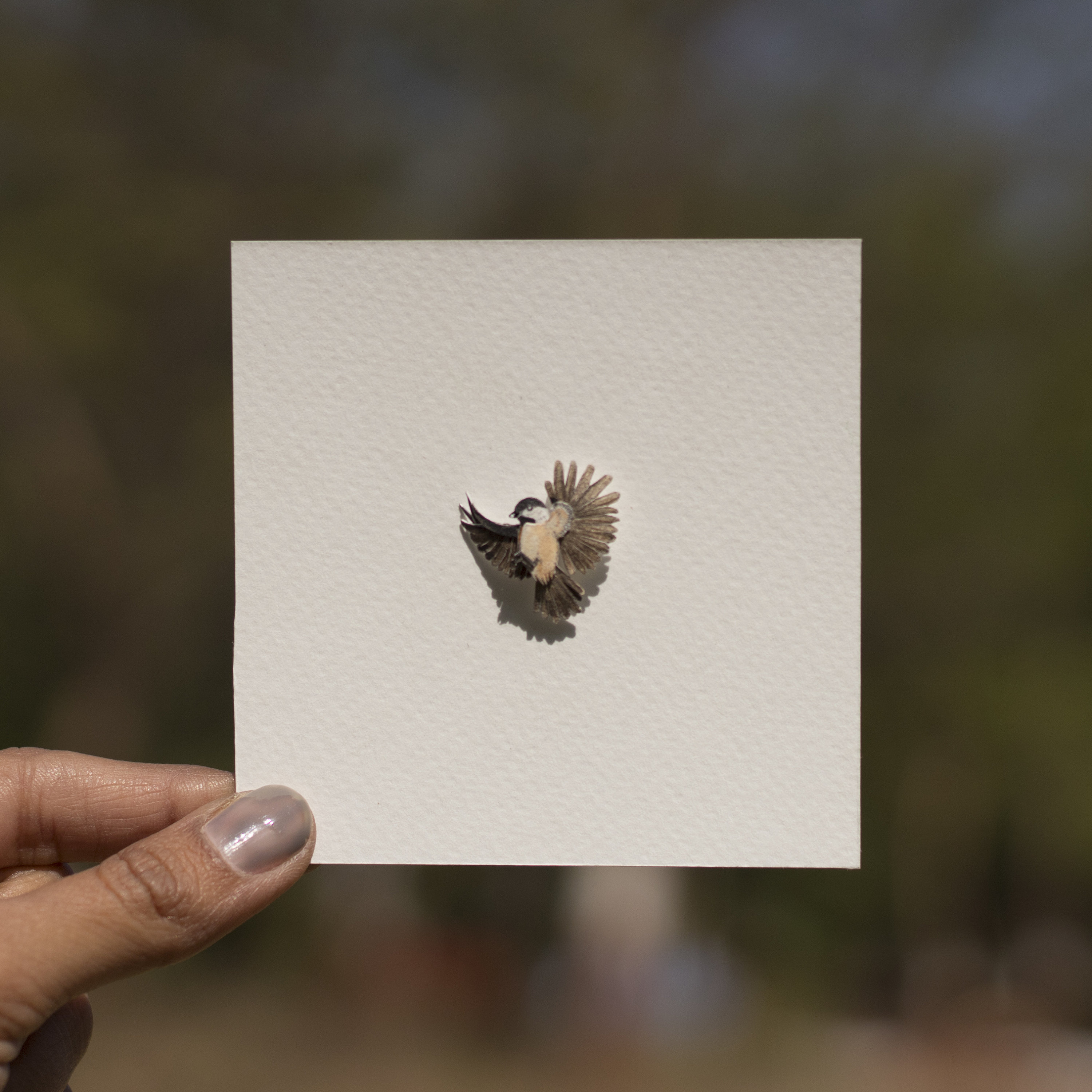 Papercut bird Carolina Chickadee Chickadee art Original | Etsy