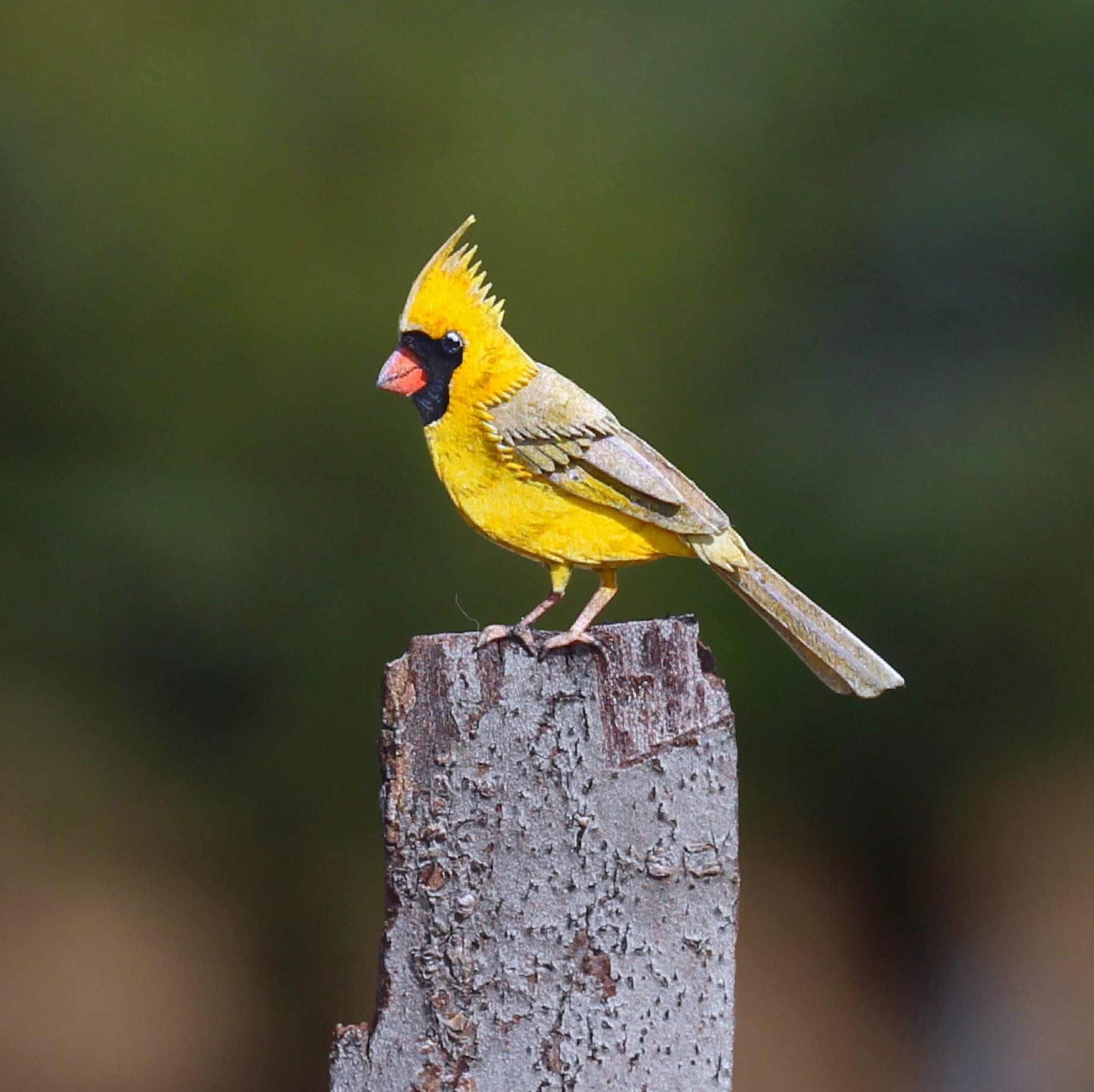 Cardinal Papercut bird Yellow Cardinal Cardinal bird art | Etsy