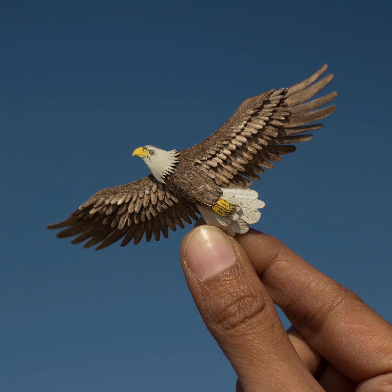 Papercut Bird American Eagle Bald Eagle Eagle Bird Art | Etsy