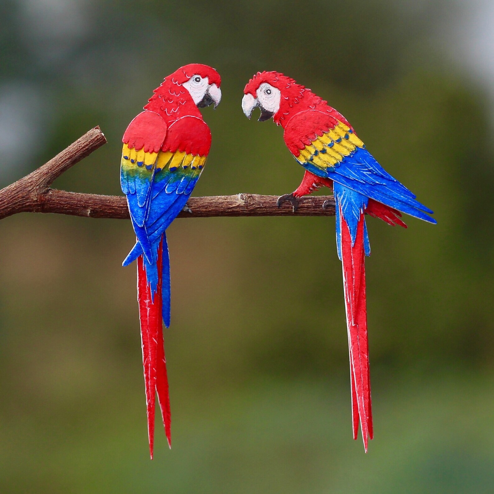 Scarlet Macaw Print Fine Art Print Giclee Print Free - Etsy