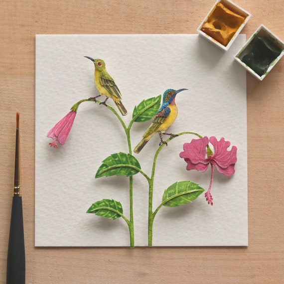 Bird Pollinator Brown throated sunbird Hibiscus | Etsy