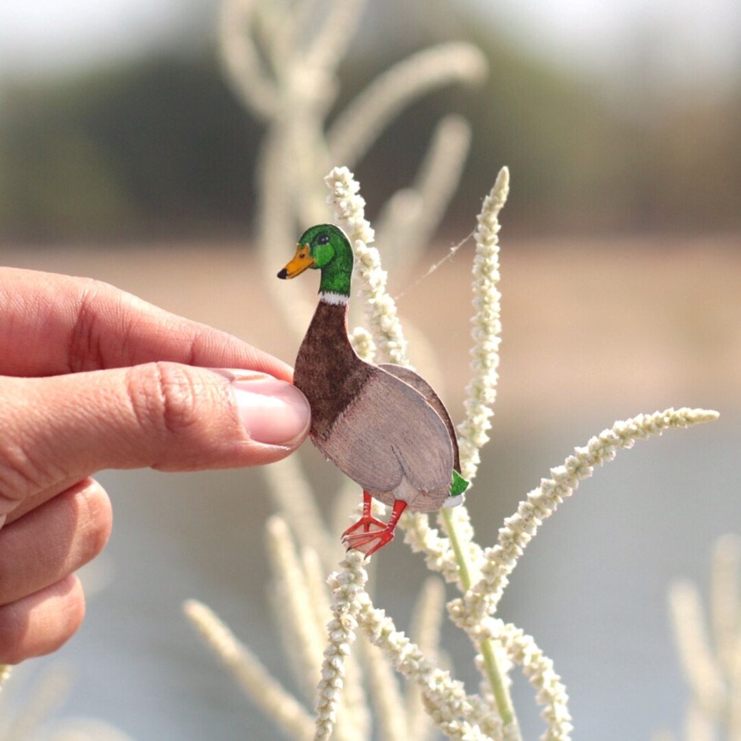 Papercut Bird Mallard Duck Duck Art Duck Bird Art - Etsy Hong Kong
