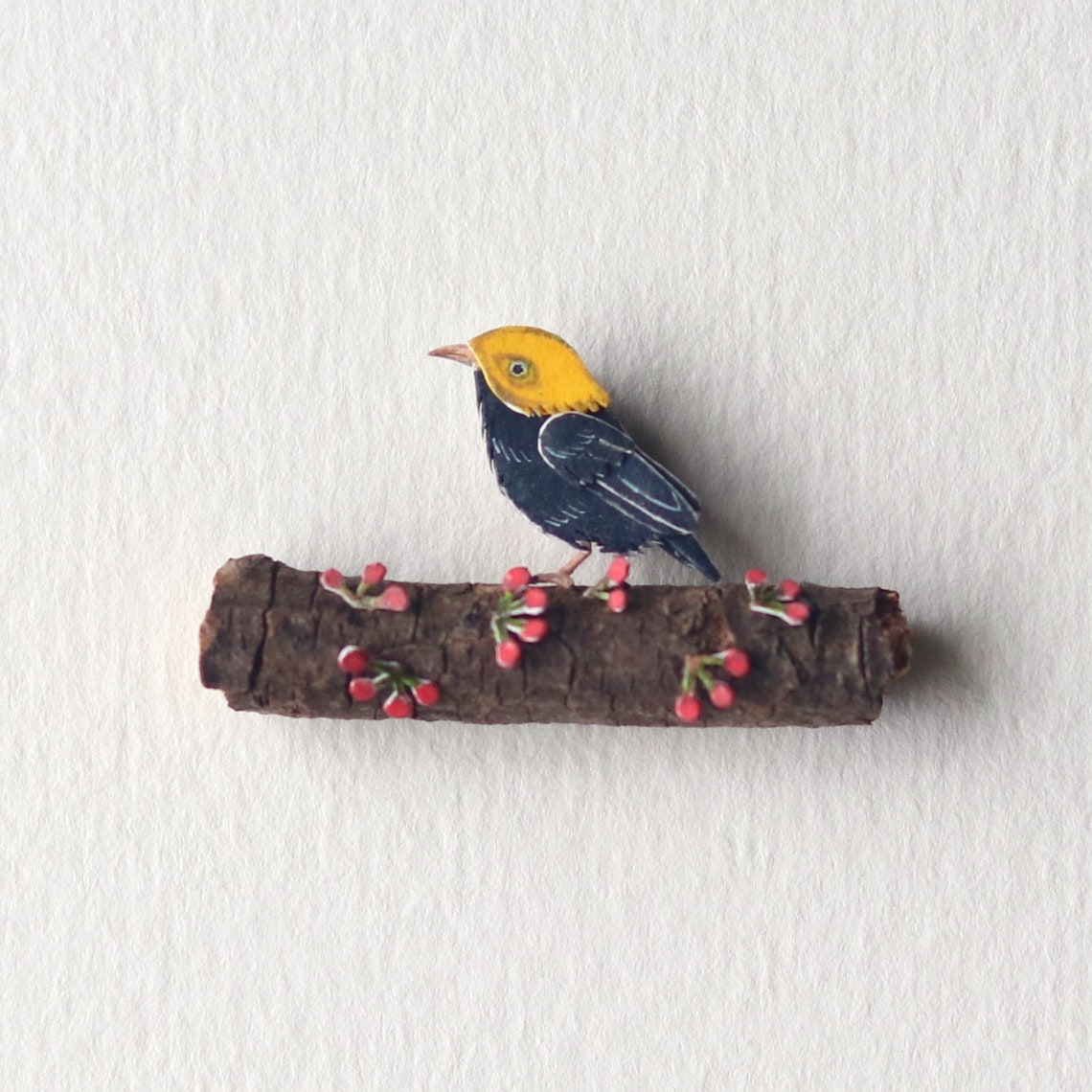 Manakin Golden Headed Manakin Bird Art Papercut Paper | Etsy