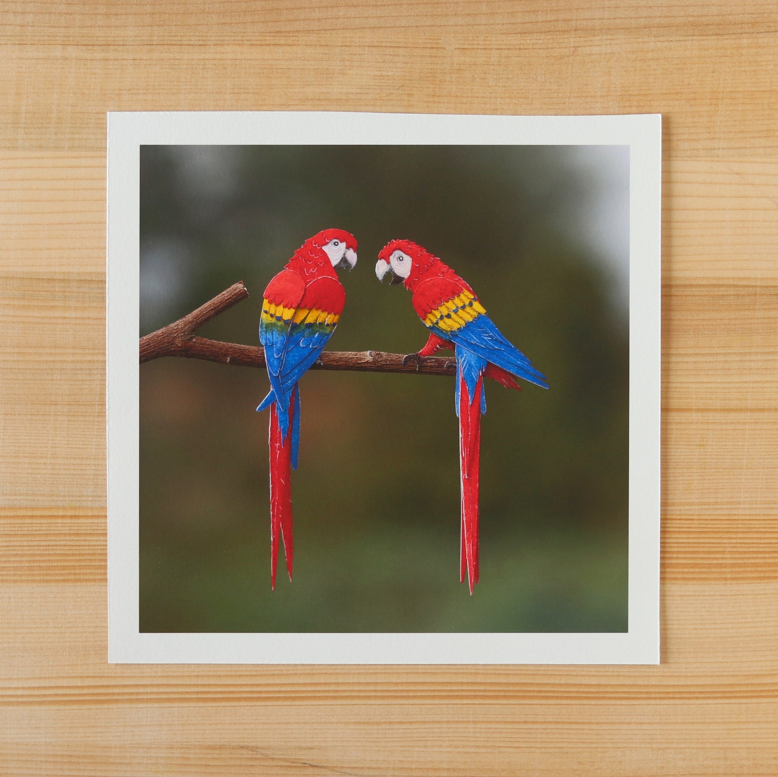 Scarlet Macaw Print Fine Art Print Giclee Print Free | Etsy