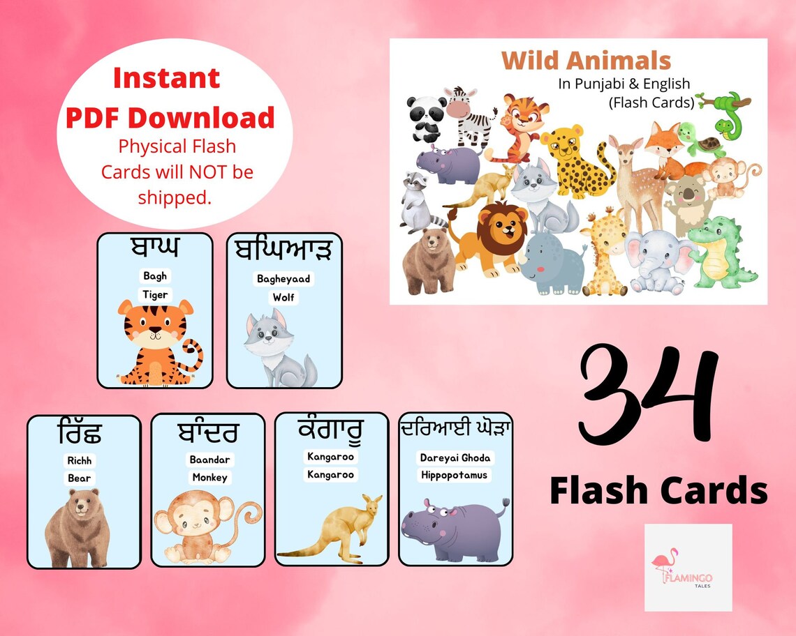 Wild Animals in Punjabi Flash Cards With Pics,printable Flash Cards ...