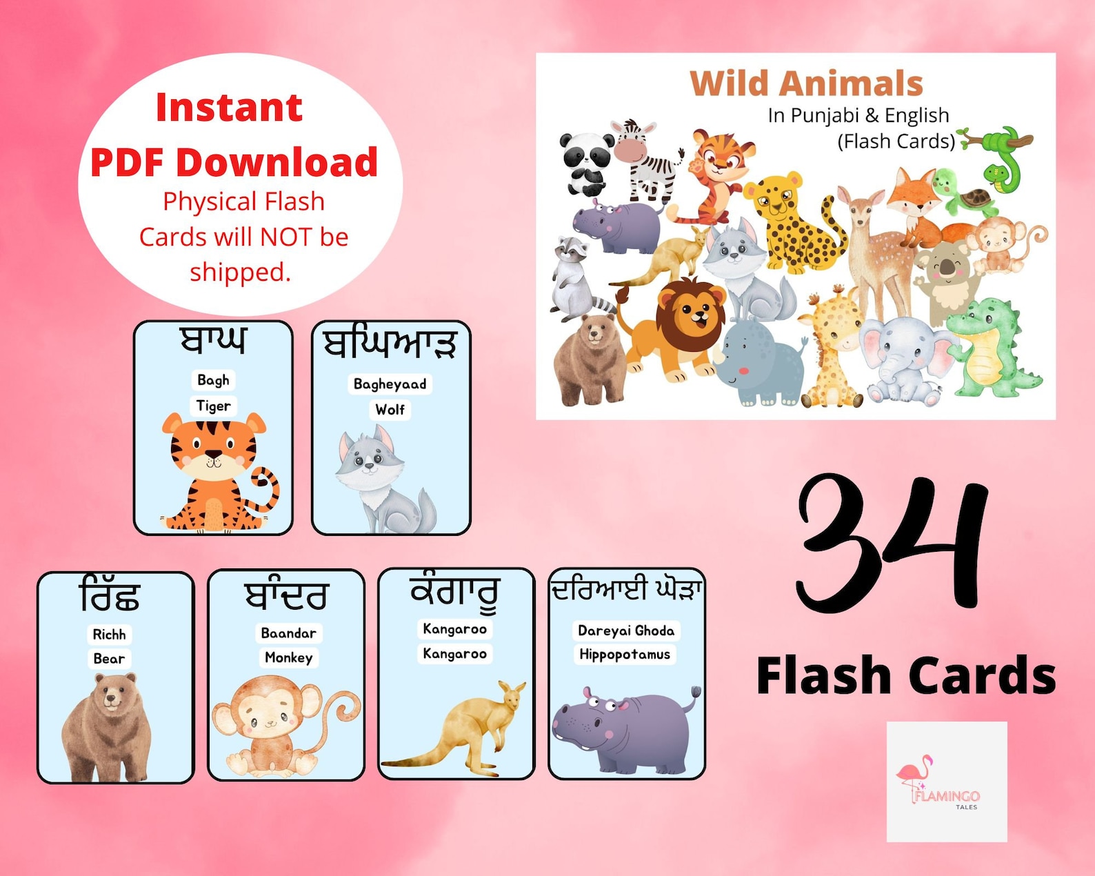 Wild Animals in Punjabi Flash Cards With Pics,printable Flash Cards ...