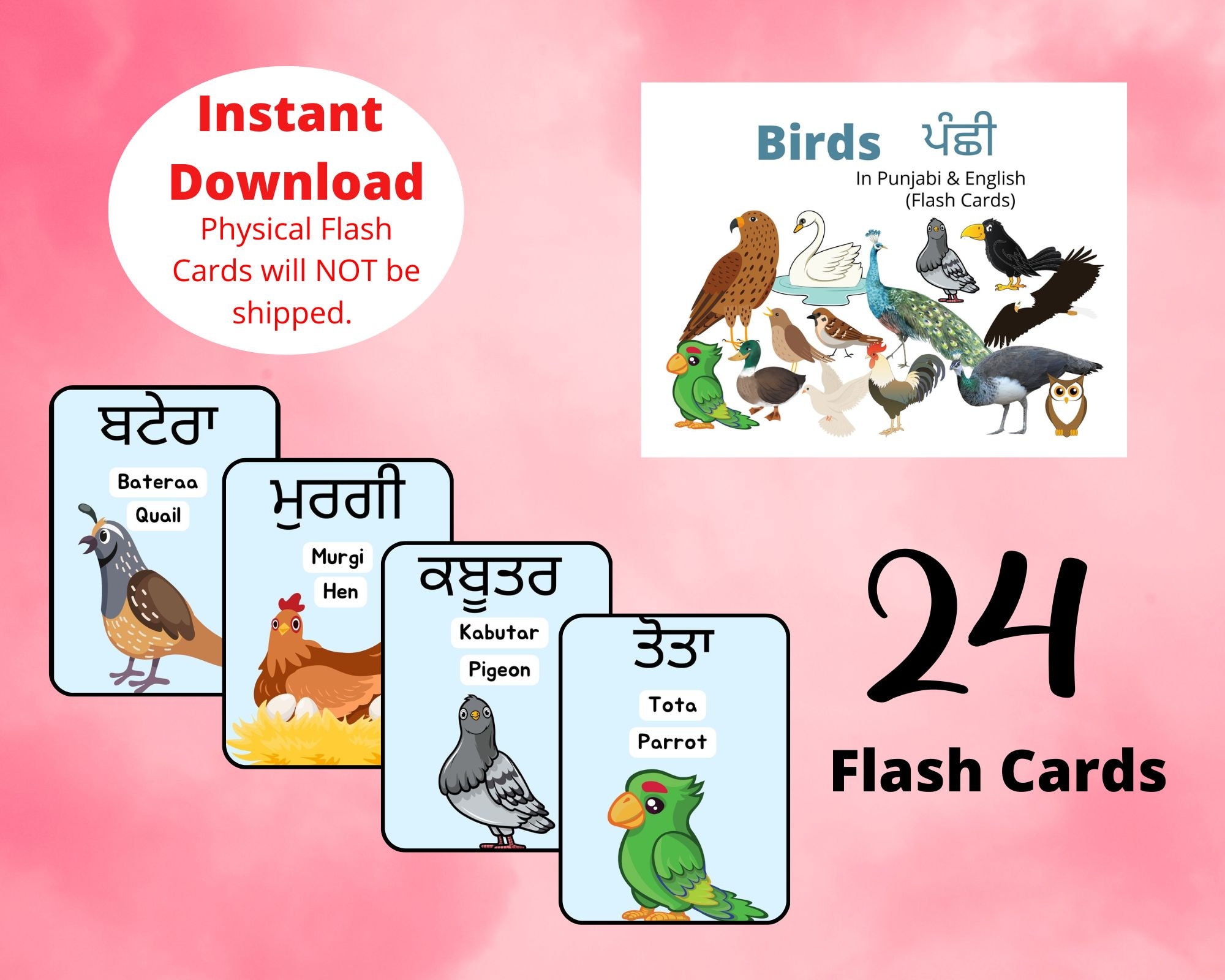 Birds in Punjabi Flash Cards,printable Flash Cards,punjabi English ...