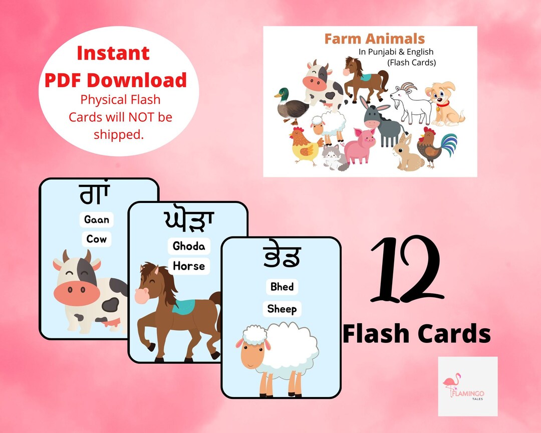 Farm Animals in Punjabi Flash Cards,printable Flash Cards,punjabi ...
