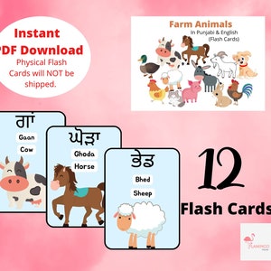 Farm Animals in Punjabi Flash Cards,printable Flash Cards,punjabi ...