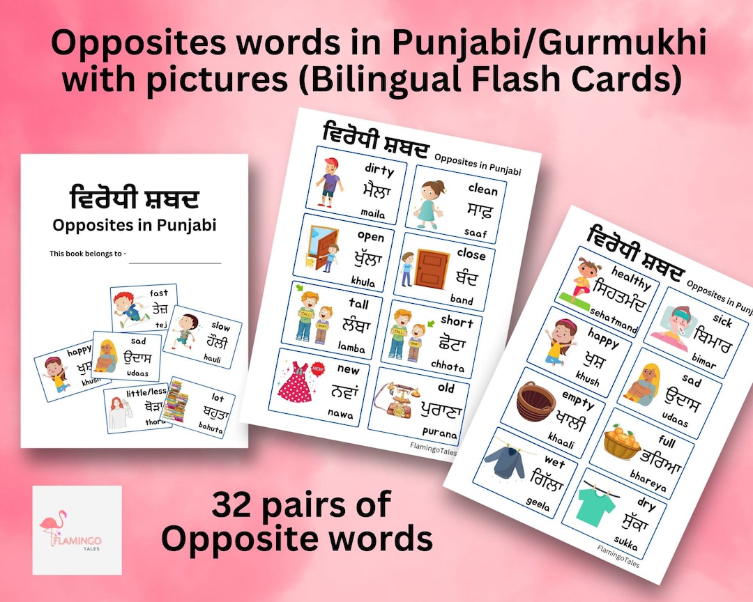 Opposites in Punjabi Gurmukhi Flash Cards, Punjabi Vocabulary, Punjabi ...