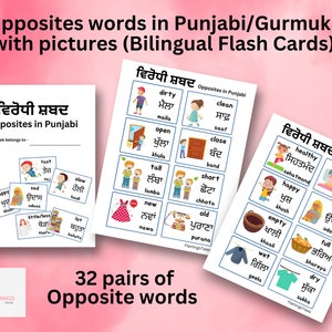 Opposites in Punjabi Gurmukhi Flash Cards, Punjabi Vocabulary, Punjabi ...