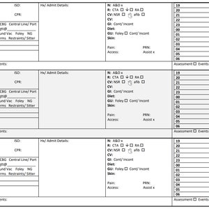 Med-surg Telemetry Nurse Brain (3 Patients per Sheet- Horizontal) - Etsy