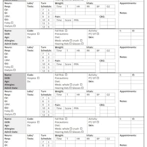 8 Patient Skilled Nursing or Rehab Report Sheet - Etsy
