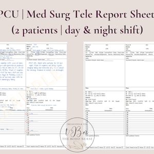 Med/surg/tele Nurse Report Sheet - Etsy