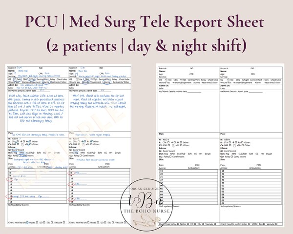 2 Patient Report Sheet: Medical Surgical/pcu - Etsy Canada
