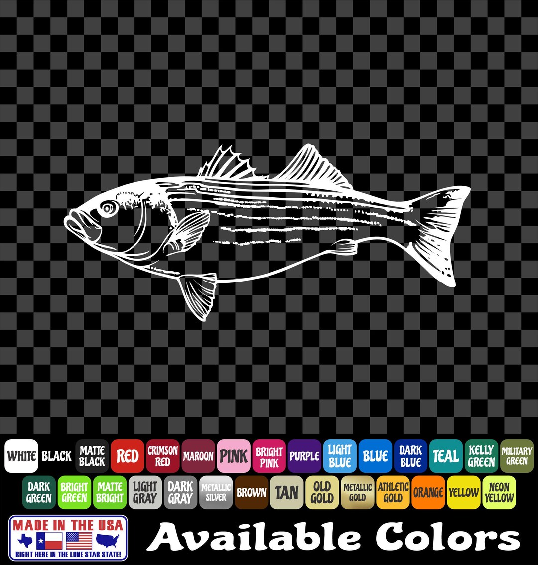 Striper Fishing Striped Bass Sticker Fish Saltwater Surf Life Vinyl ...