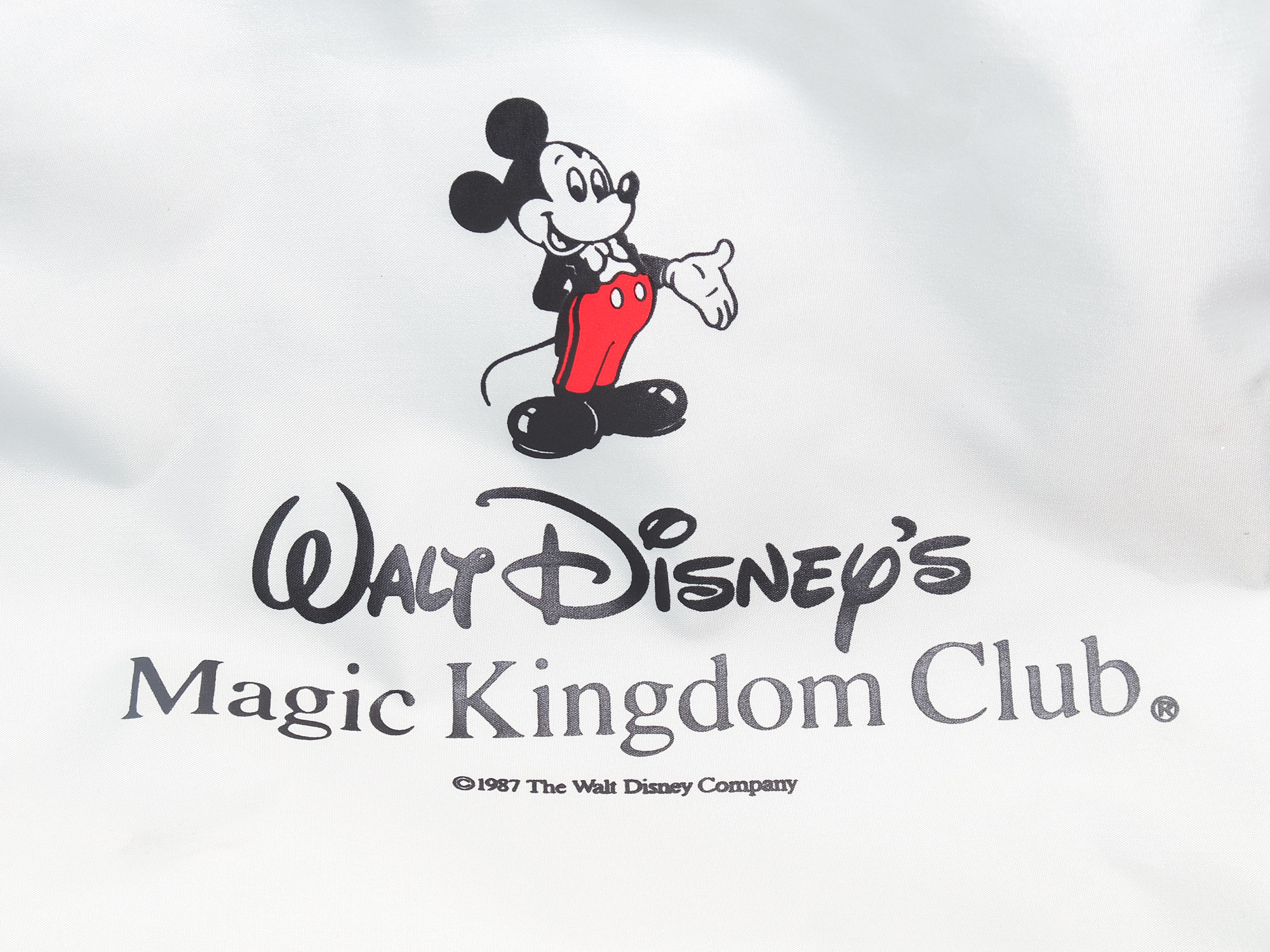 Vintage Walt Disney Bag From 80s in Great Condition/ Magic - Etsy