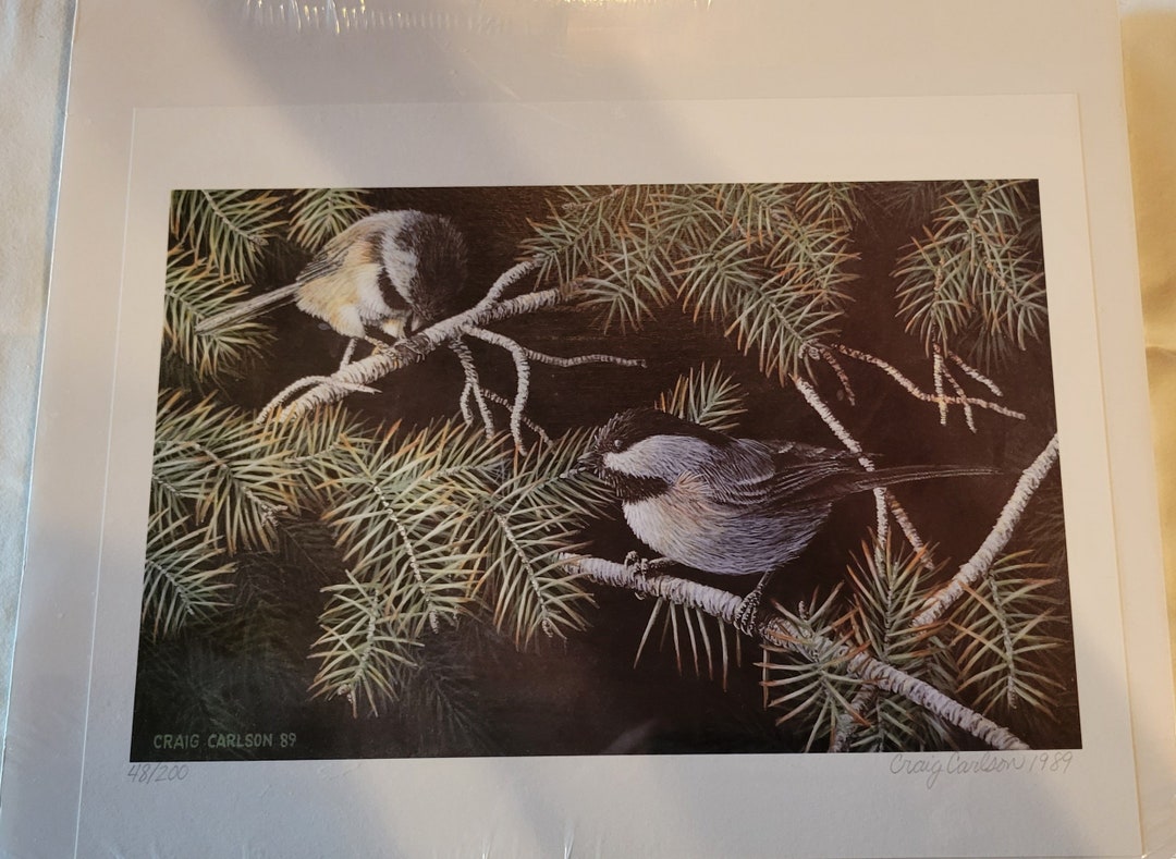 Chickadees in the Pines Print Artist Signed Craig Carlson, Numbered 48/ ...