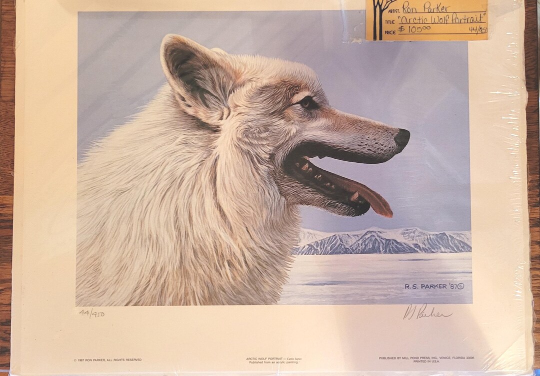 Ron Parker Arctic Wolf Print: Signed & Numbered, 1987 Vintage Art - Etsy