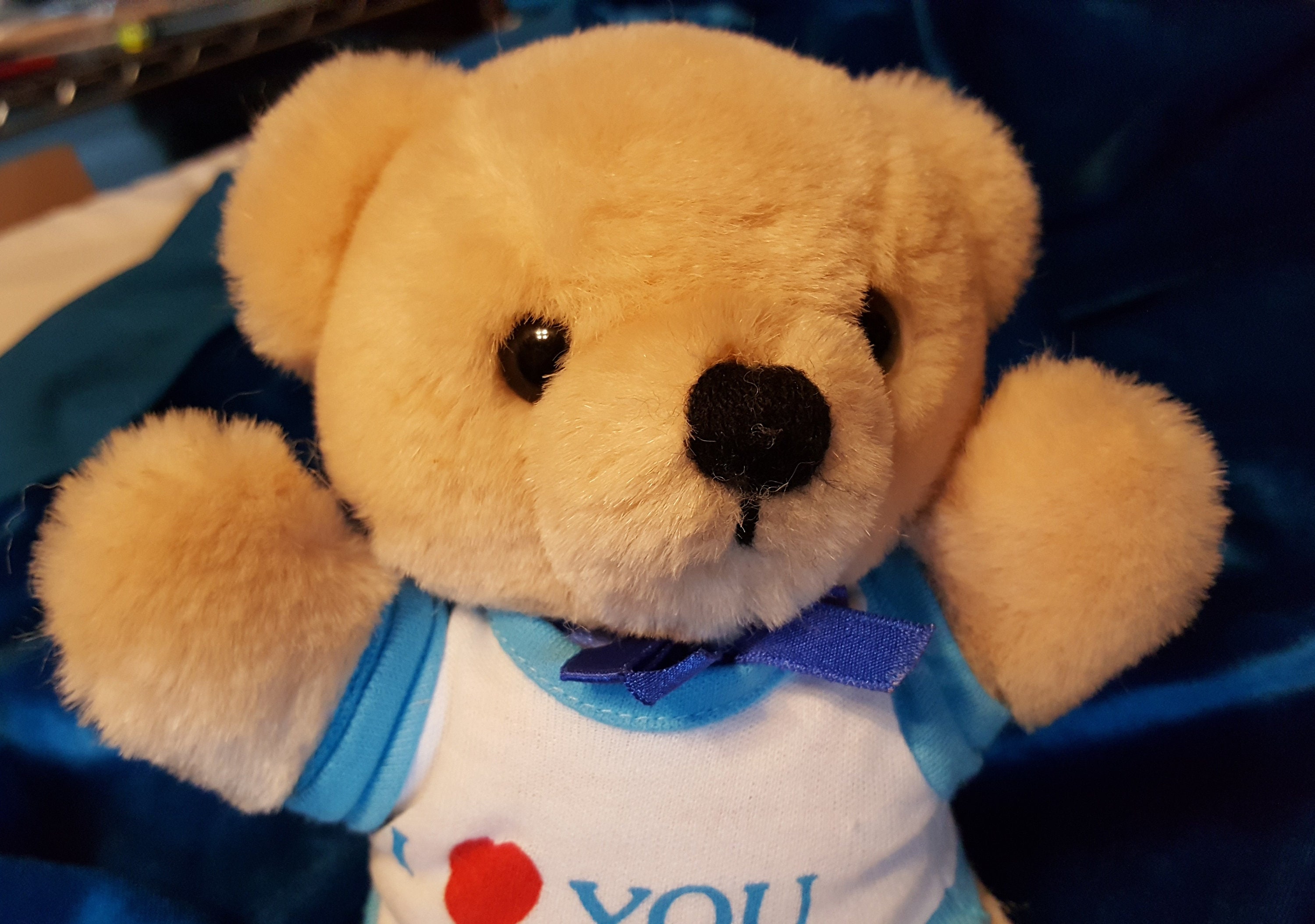 Dakin Teddy Bear for sale | Only 4 left at -75%