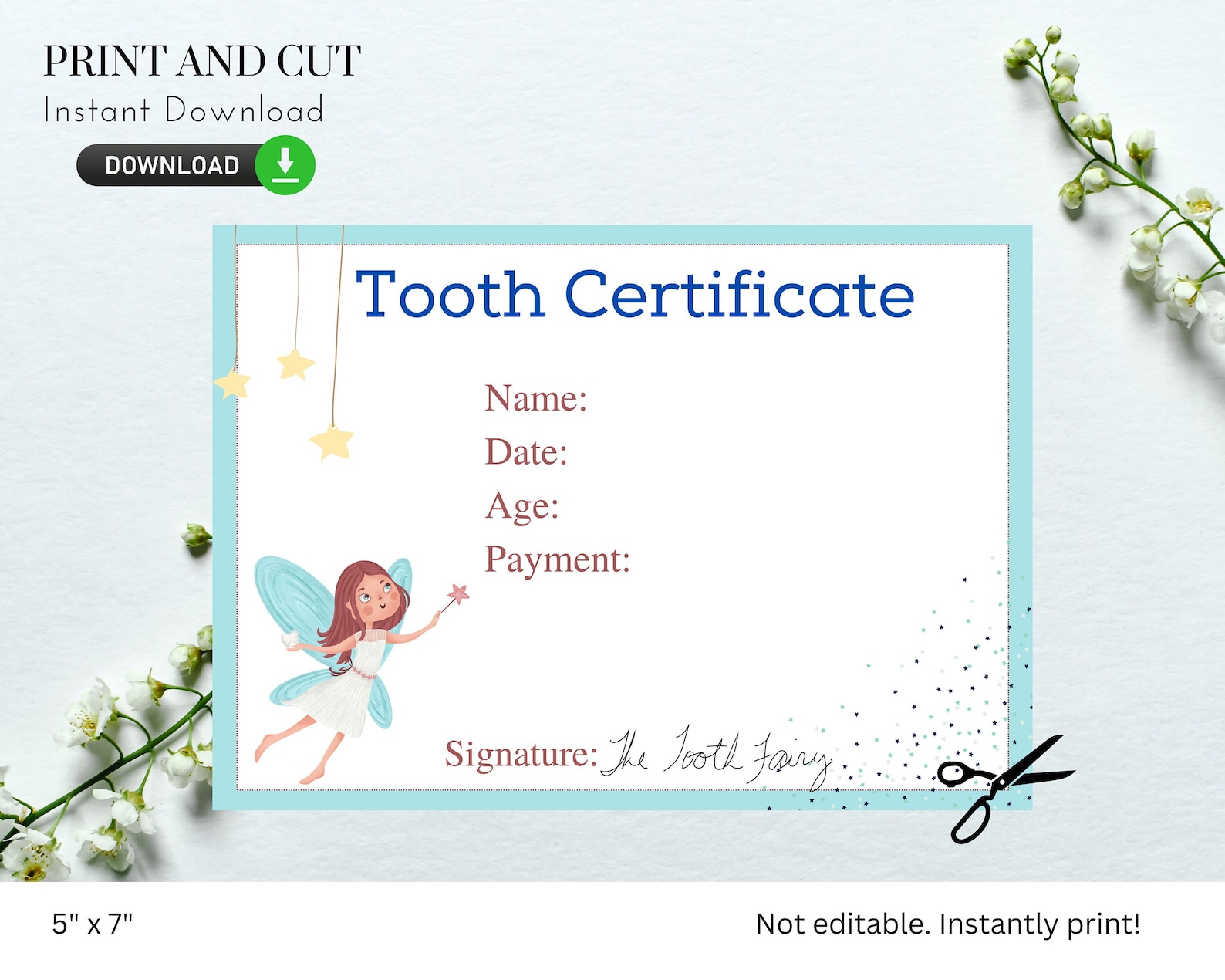 Tooth Fairy Certificate Printable DIY, Lost Tooth Card, Tooth Fairy ...