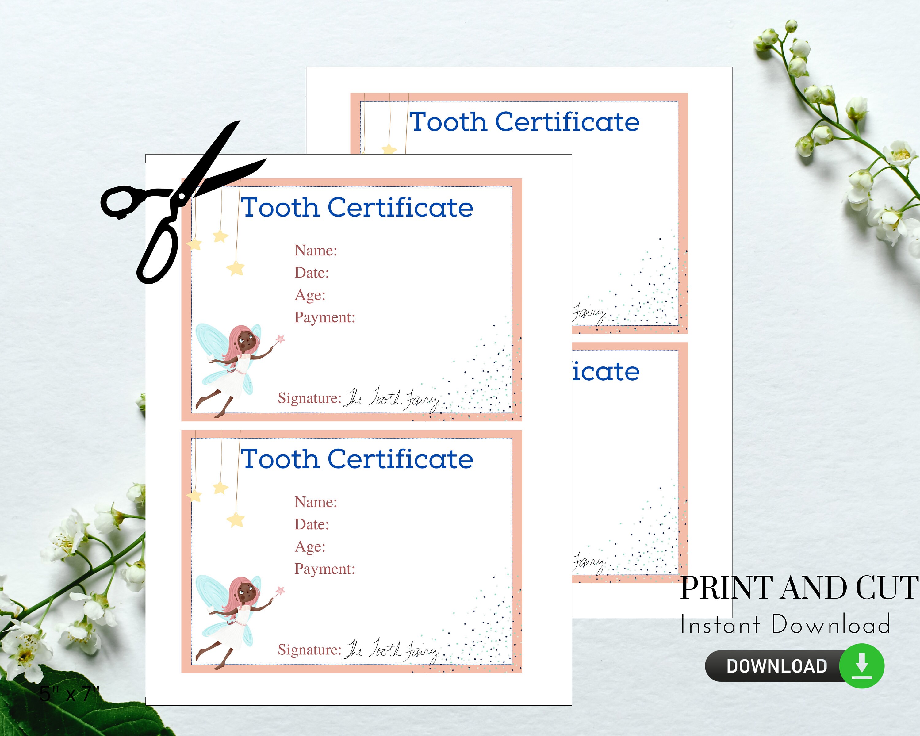 Tooth Fairy Certificate- Printable - DIY, Lost Tooth Card, Tooth Fairy ...