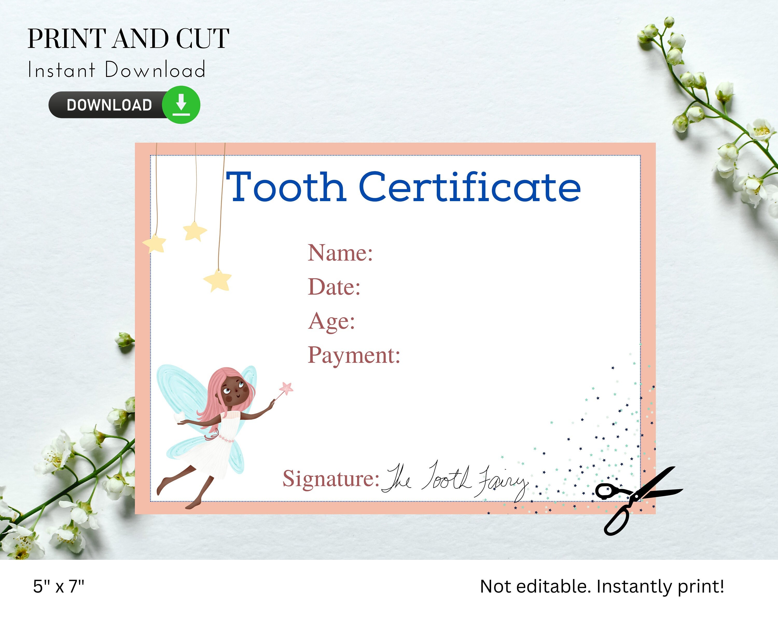 Tooth Fairy Certificate- Printable - DIY, Lost Tooth Card, Tooth Fairy ...