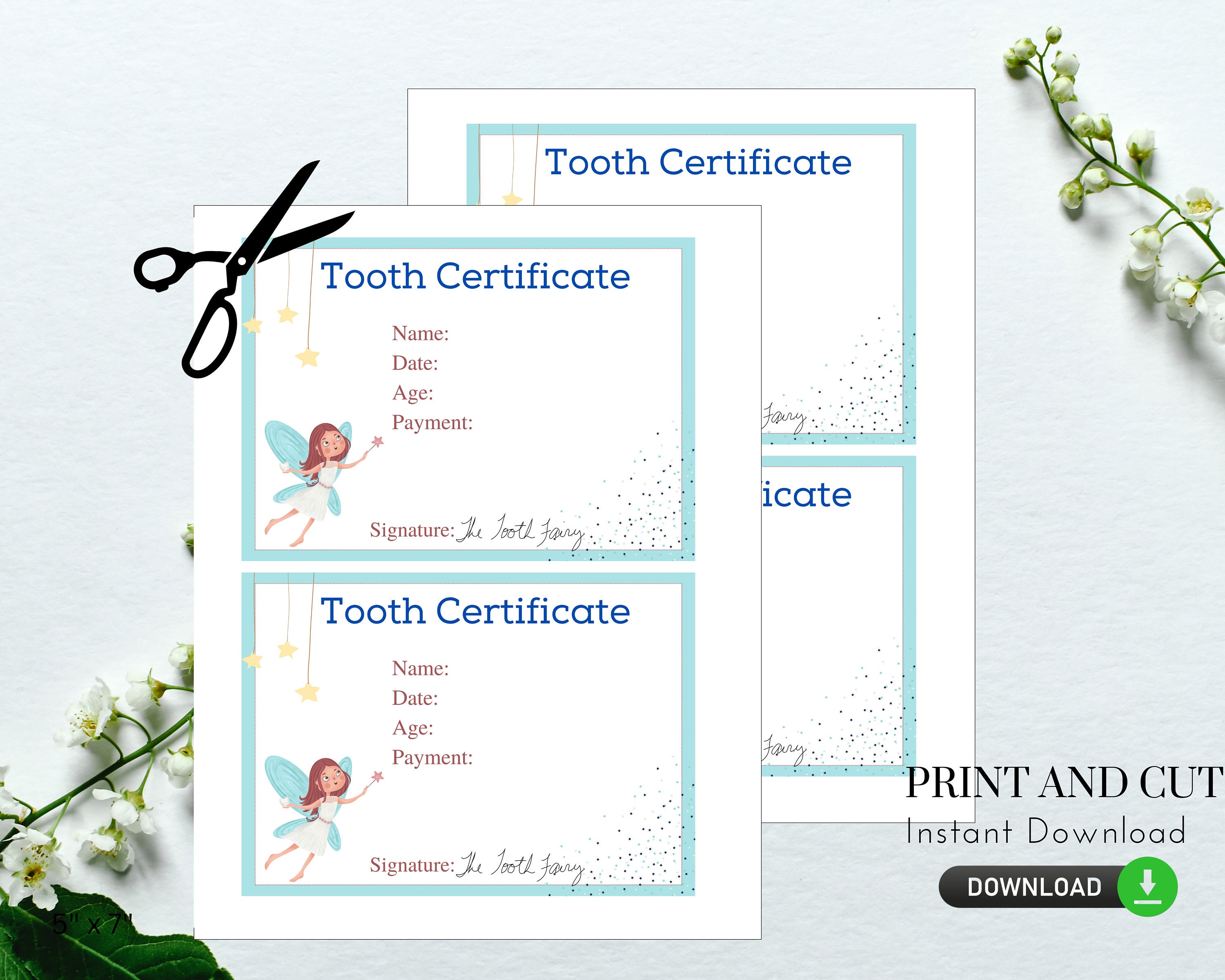 Tooth Fairy Certificate- Printable - DIY, Lost Tooth Card, Tooth Fairy ...