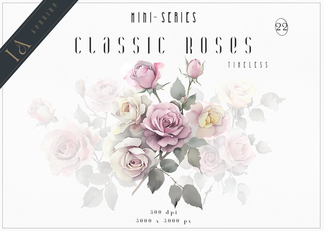 Classic Rose Floral Clipart - Watercolor Roses - Roses Clipart - Pink ...