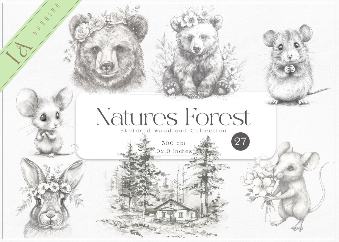Sketch Style Woodland Collection, Cottagecore, Woodland Clipart ...