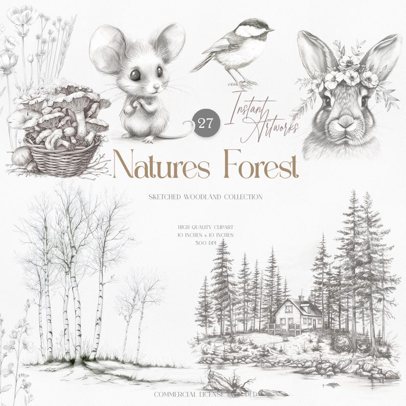 Sketch Style Woodland Collection, Cottagecore, Woodland Clipart ...