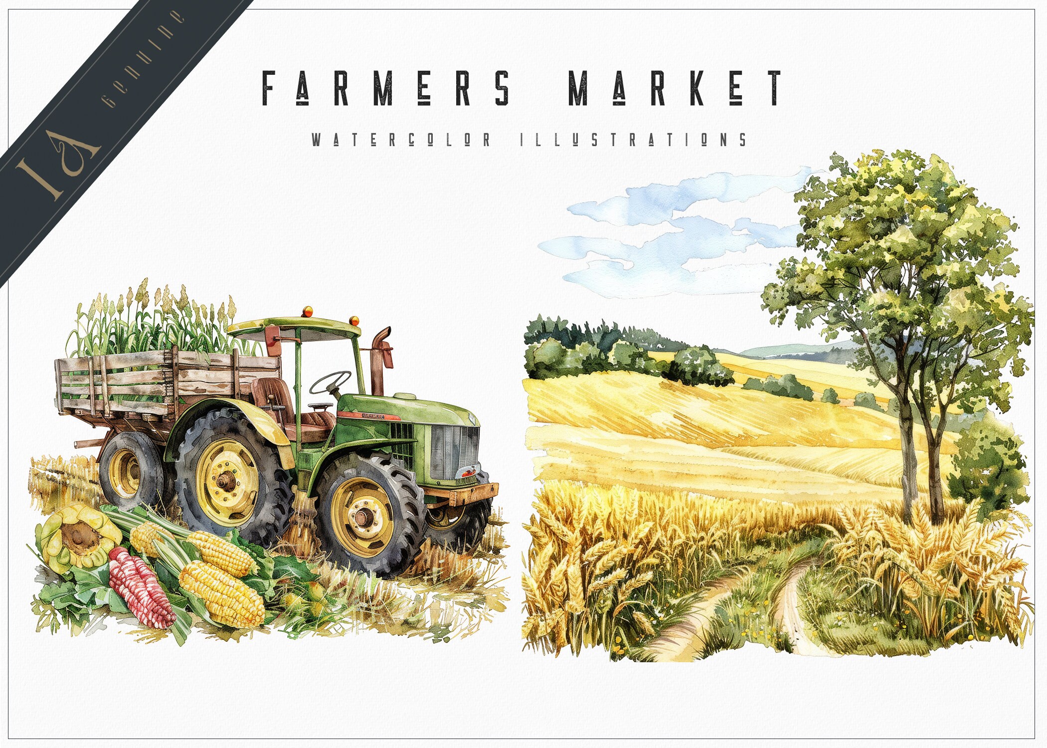 Watercolor Farm Clipart, Farmers Market Clipart, Watercolor Food Art ...
