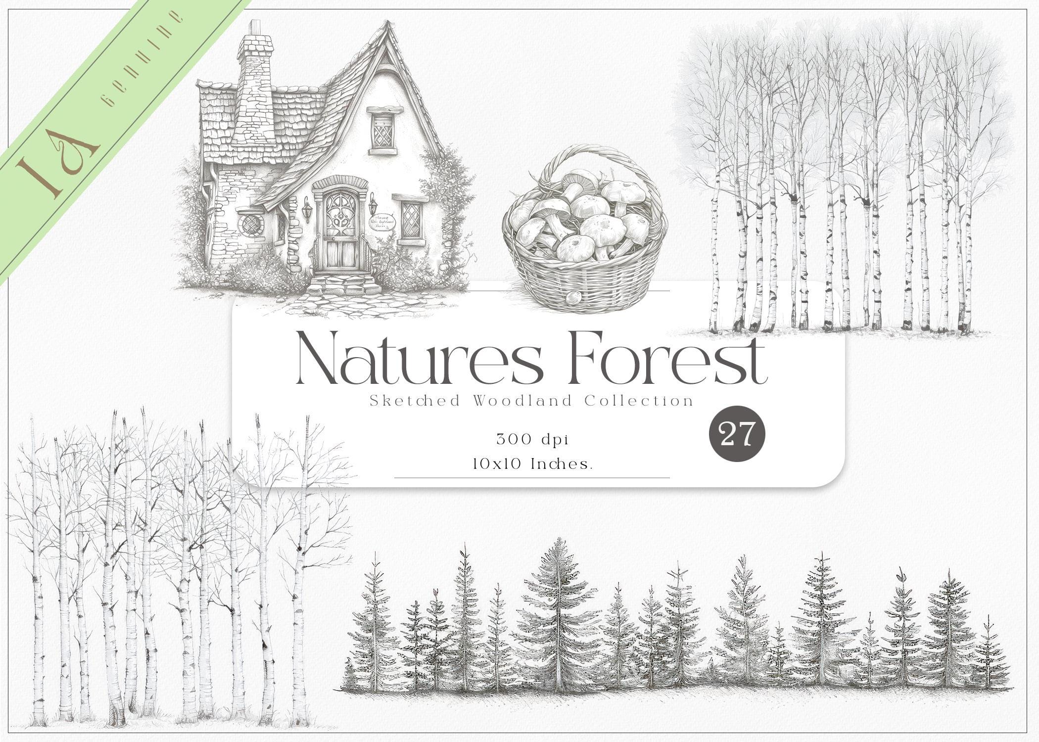 Sketch Style Woodland Collection, Cottagecore, Woodland Clipart ...