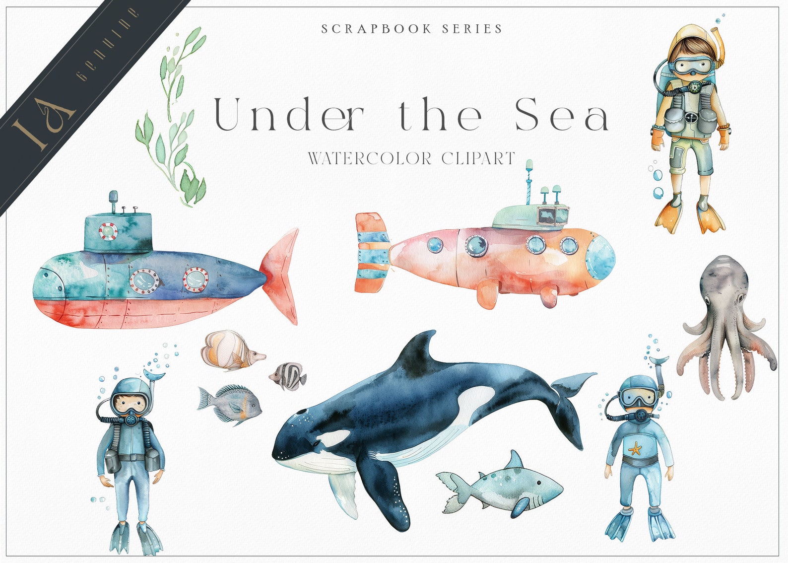 Under the Sea Watercolor Clipart Ocean Dive Clipart Underwater Clipart ...