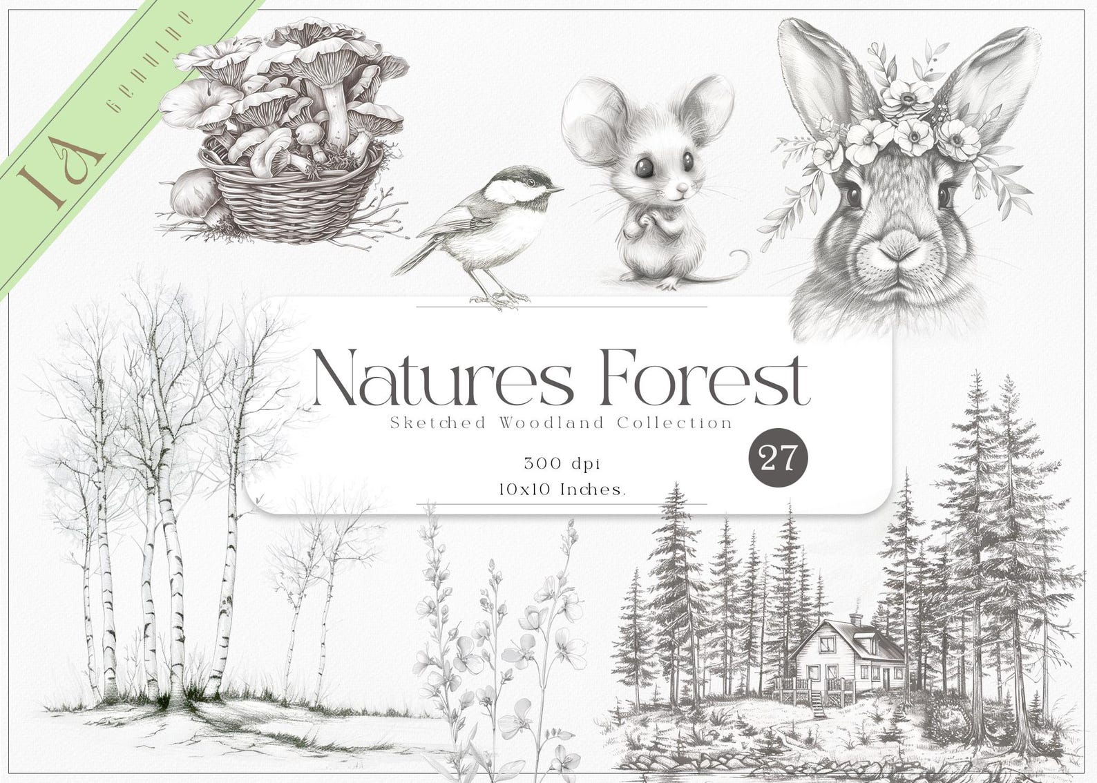 Sketch Style Woodland Collection, Cottagecore, Woodland Clipart ...