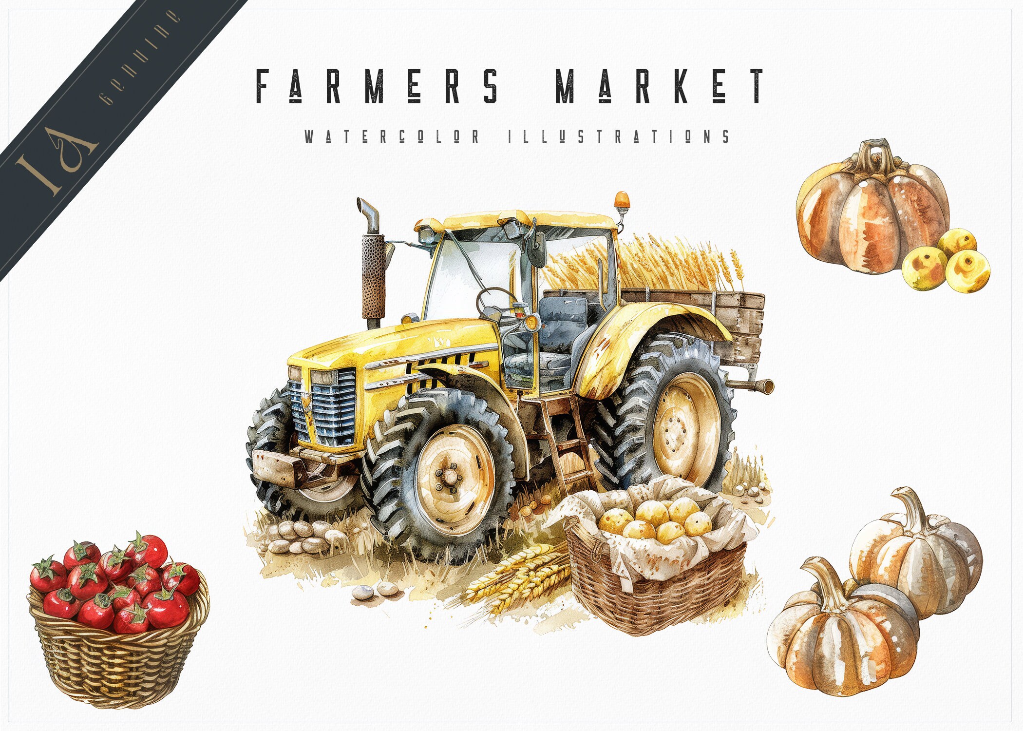 Watercolor Farm Clipart, Farmers Market Clipart, Watercolor Food Art ...